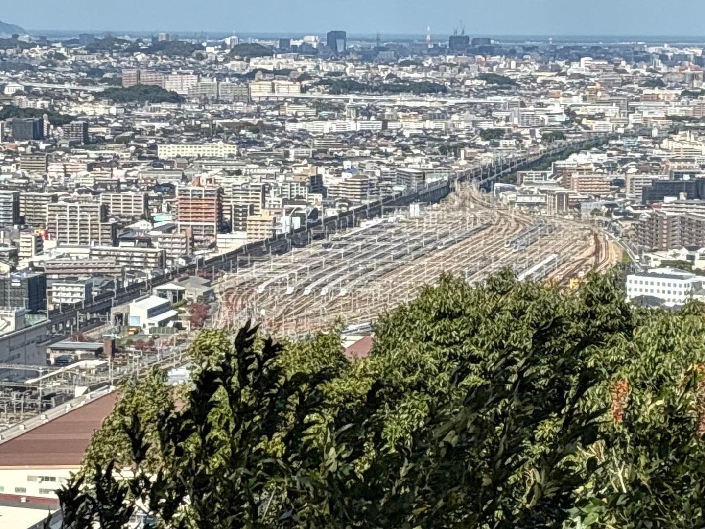観音山・中原山・石割山・天神山・上の山・岡本山 / mskふぅさんの矢岳・城山の活動日記 | YAMAP / ヤマップ