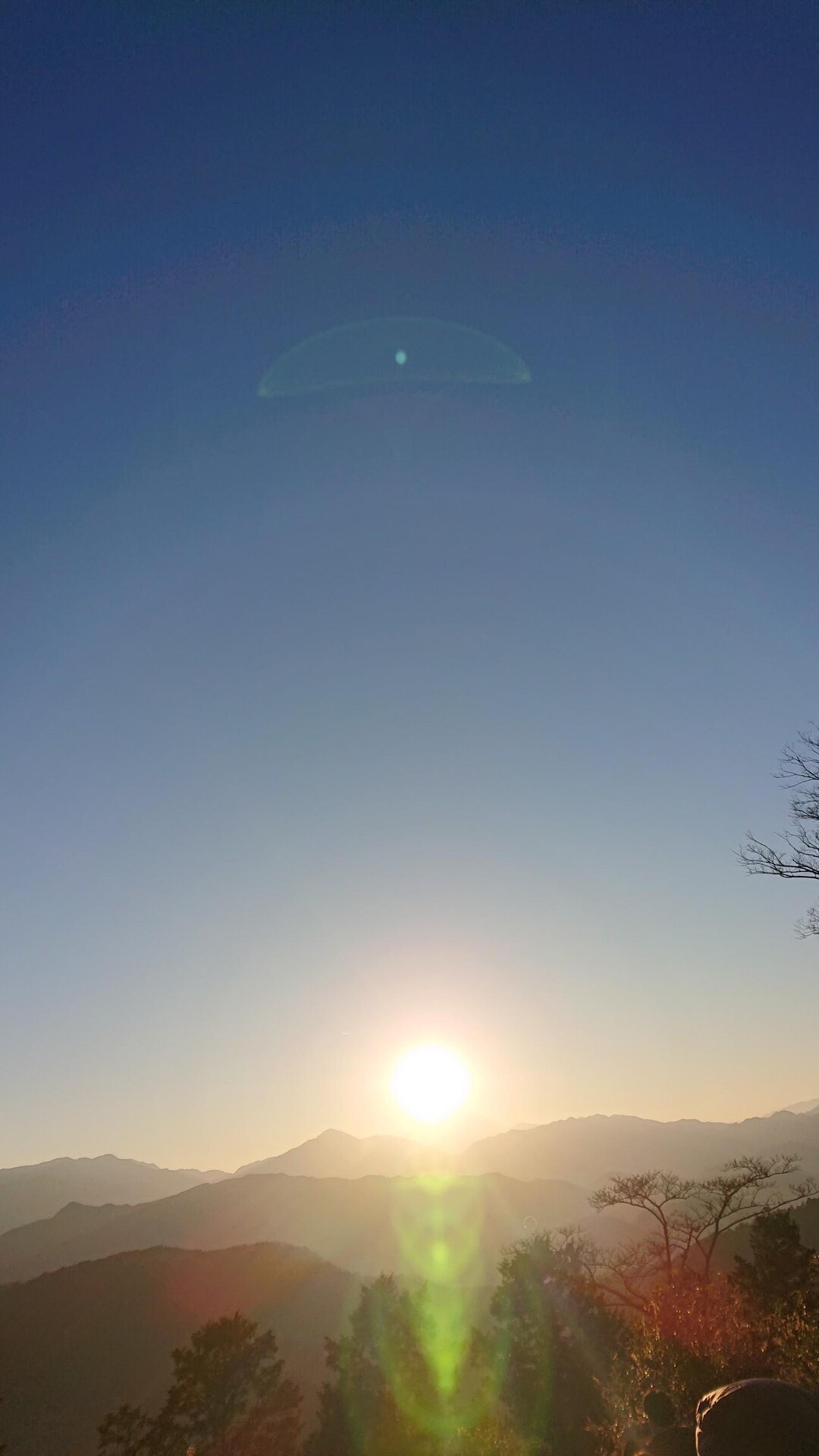 高尾山1号路↑↓ / aoさんの高尾山・陣馬山・景信山の活動データ | YAMAP / ヤマップ