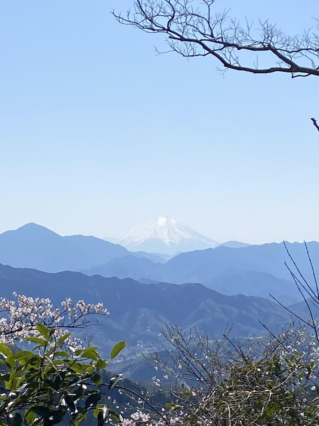 最高にッ！！ハイキングってやつだーーーッ高尾山 / aishiさんの高尾山・陣馬山・景信山の活動データ | YAMAP / ヤマップ