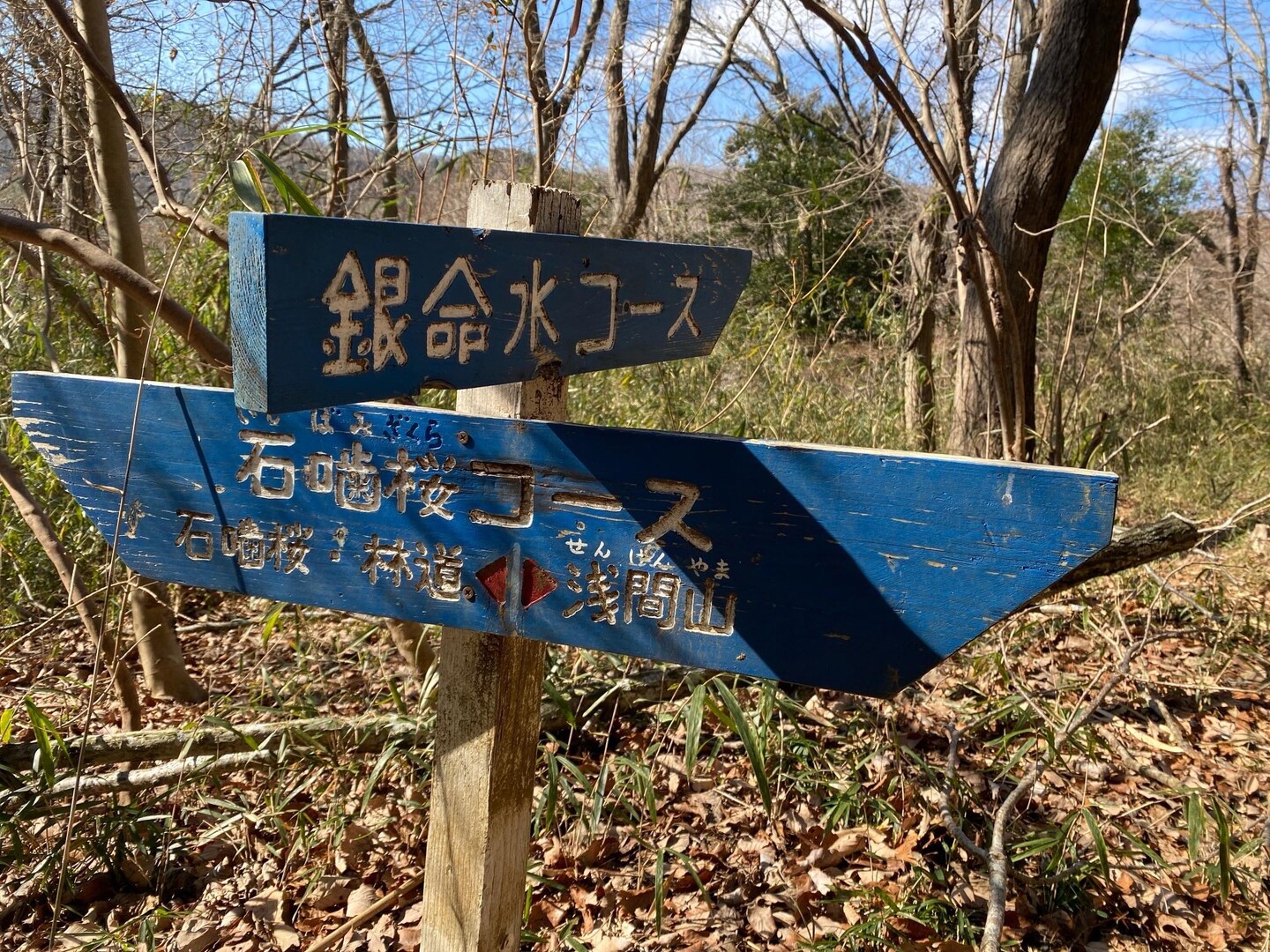 Gomaさんの投稿したフィールドメモ | YAMAP / ヤマップ