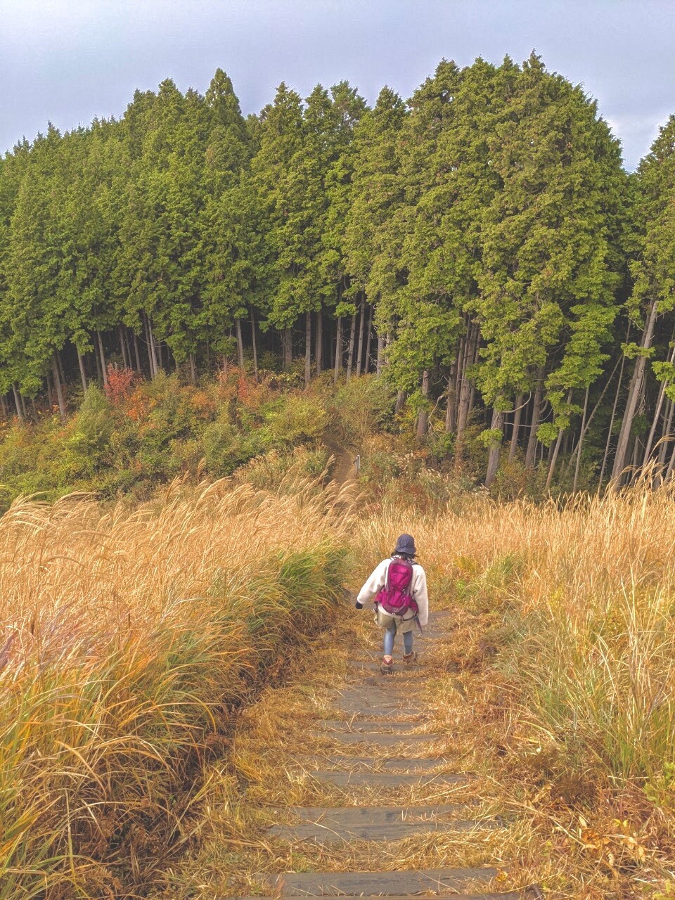 Rikoのページ | YAMAP / ヤマップ