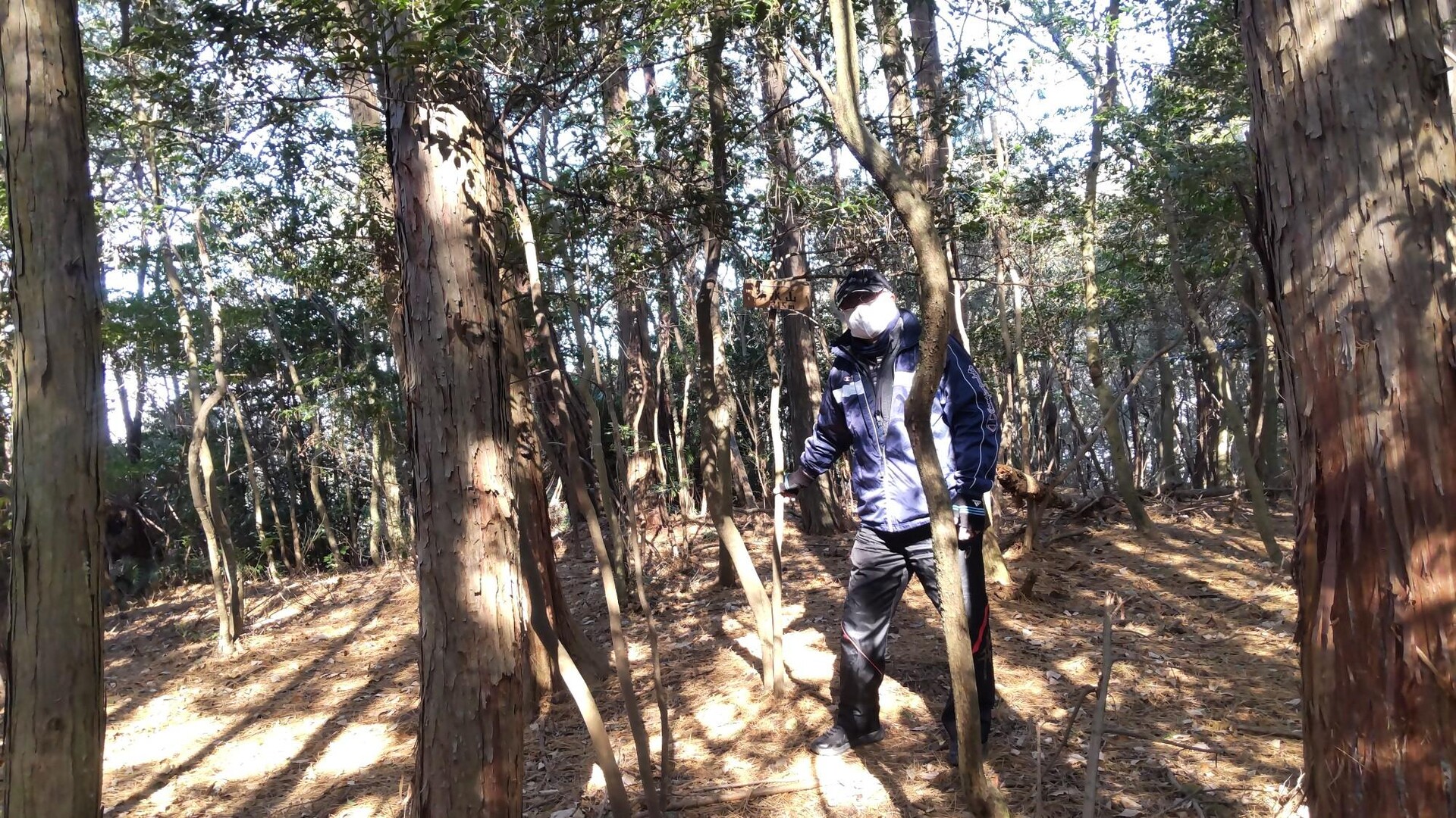 清水山① / koke280さんの有年山（大鷹山）の活動データ | YAMAP / ヤマップ