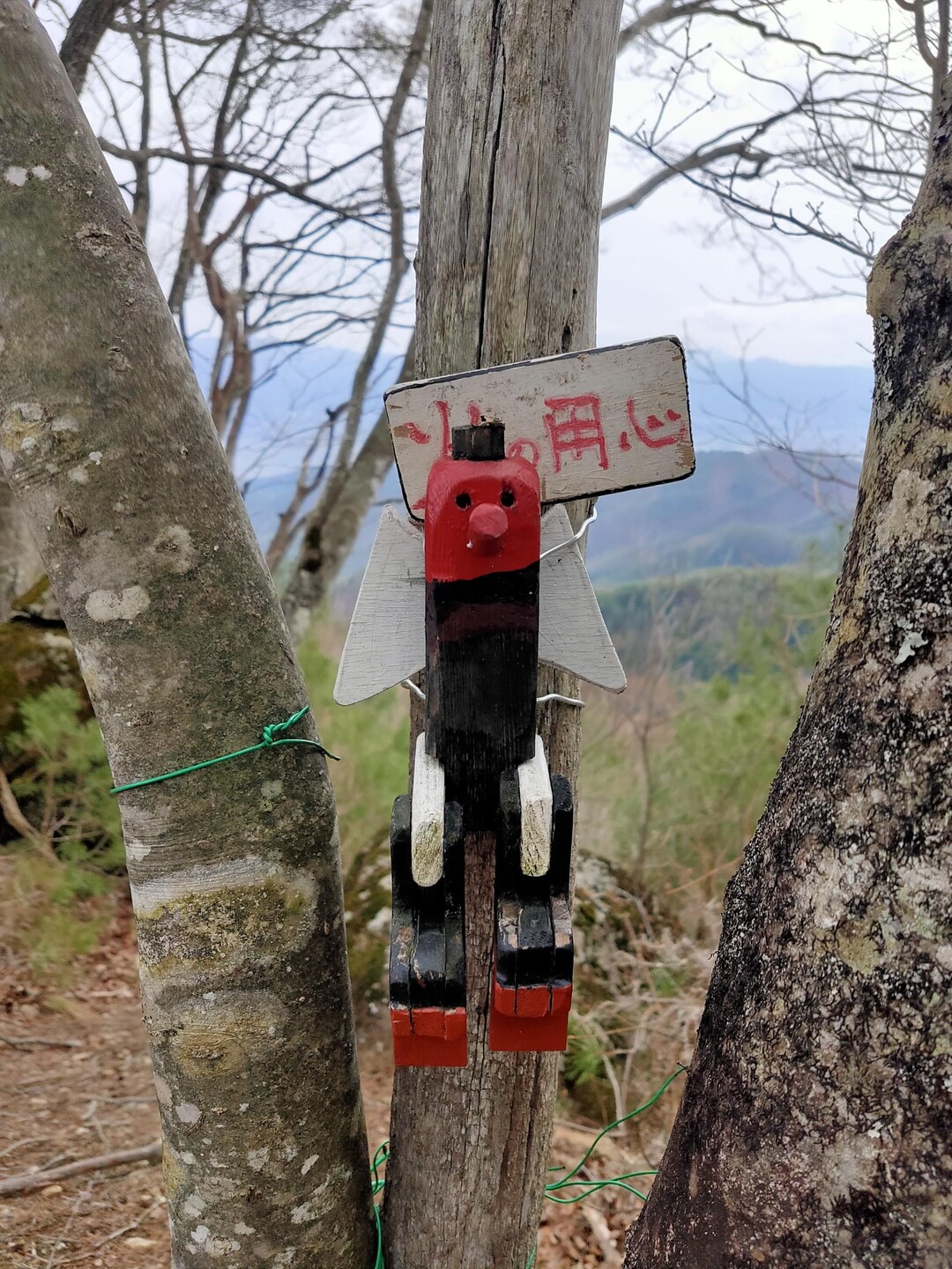 水ケ森 / yuziさんの帯那山の活動データ | YAMAP / ヤマップ