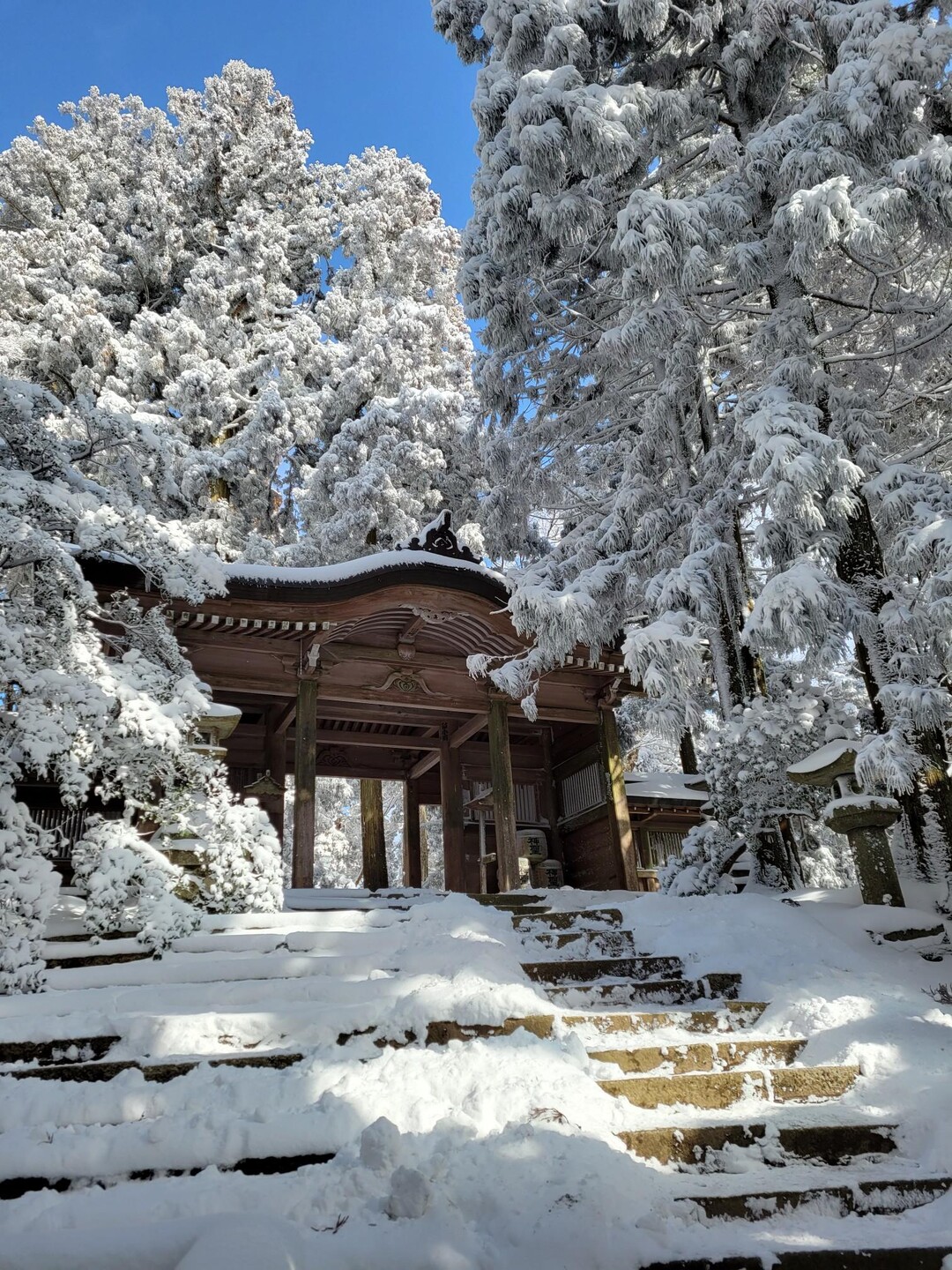 愛宕山 / Alexさんの愛宕山・三頭山・朝日峯の活動データ | YAMAP / ヤマップ