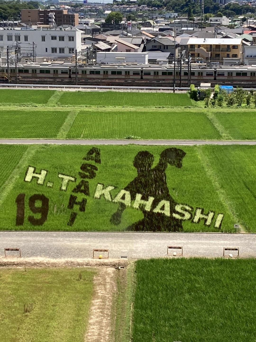 2023年(R5)7月20日 木曜日 ... / カトウィーヌさんのモーメント | YAMAP / ヤマップ