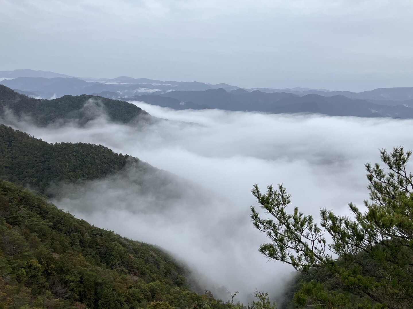 OSJ新城トレイルラン32km / pirafuさんの宇連山・鳳来寺山・岩古谷山の活動データ | YAMAP / ヤマップ