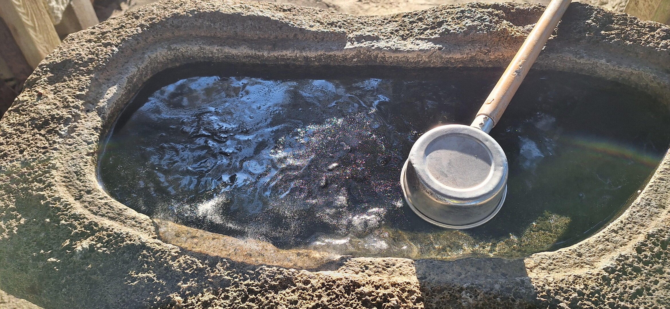 雄鷹台山2025.1.10🥶 温暖な... / akoh_jiさんのモーメント | YAMAP / ヤマップ