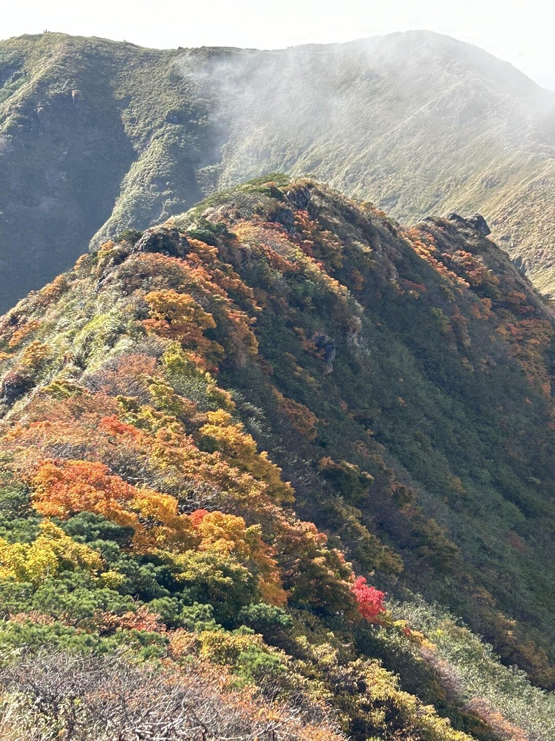横岳・焼森 / えっちゃんさんの秋田駒ヶ岳・男女岳・貝吹岳の活動データ | YAMAP / ヤマップ