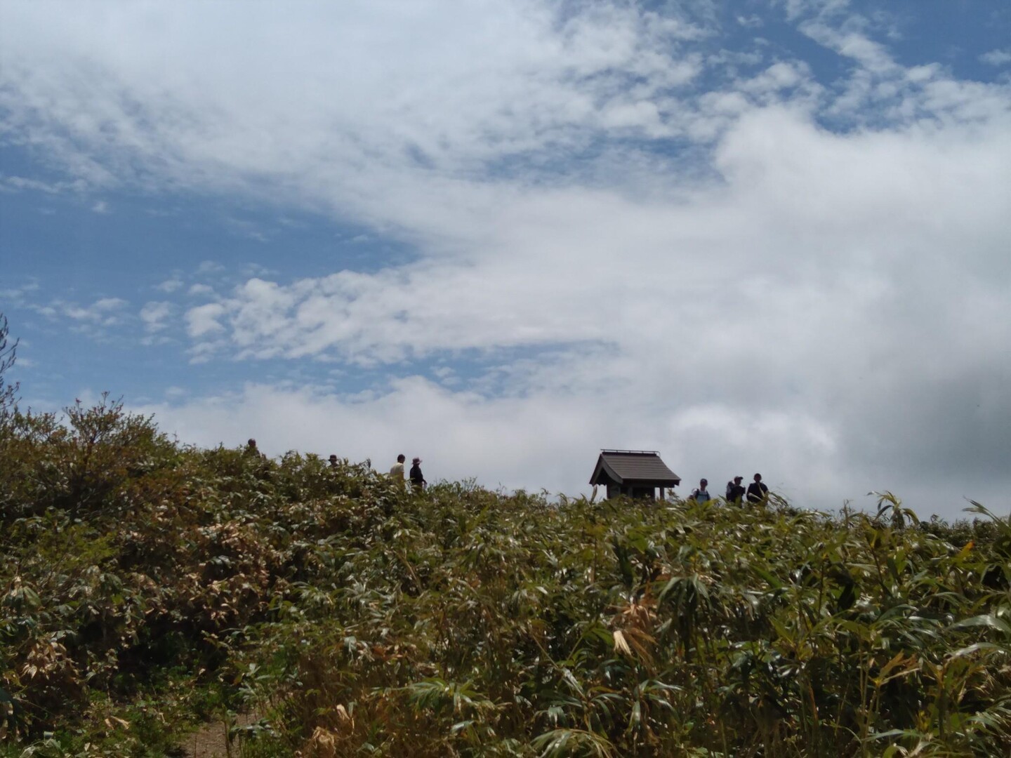 小荒島岳・前荒島岳・中荒島岳・荒島岳 230528 / UmK うめさんの文殊山の活動データ | YAMAP / ヤマップ