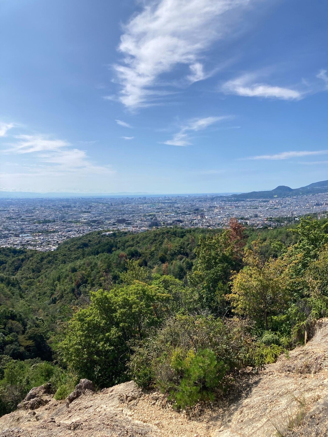 阪急山本駅〜JR中山寺駅 周回 / Sab Zeroさんの中山・大峰山の活動データ | YAMAP / ヤマップ