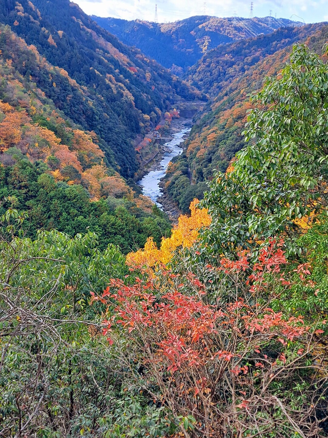 今秋の高雄は最低気温が8〜9℃の日が何日... / petrusさんのモーメント | YAMAP / ヤマップ