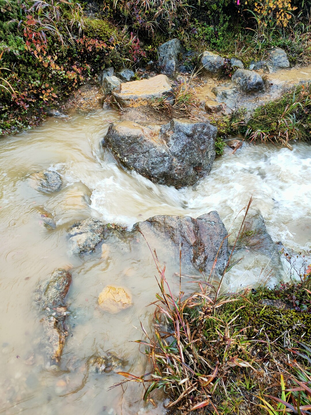 Mamincoさんの投稿したフィールドメモ | YAMAP / ヤマップ