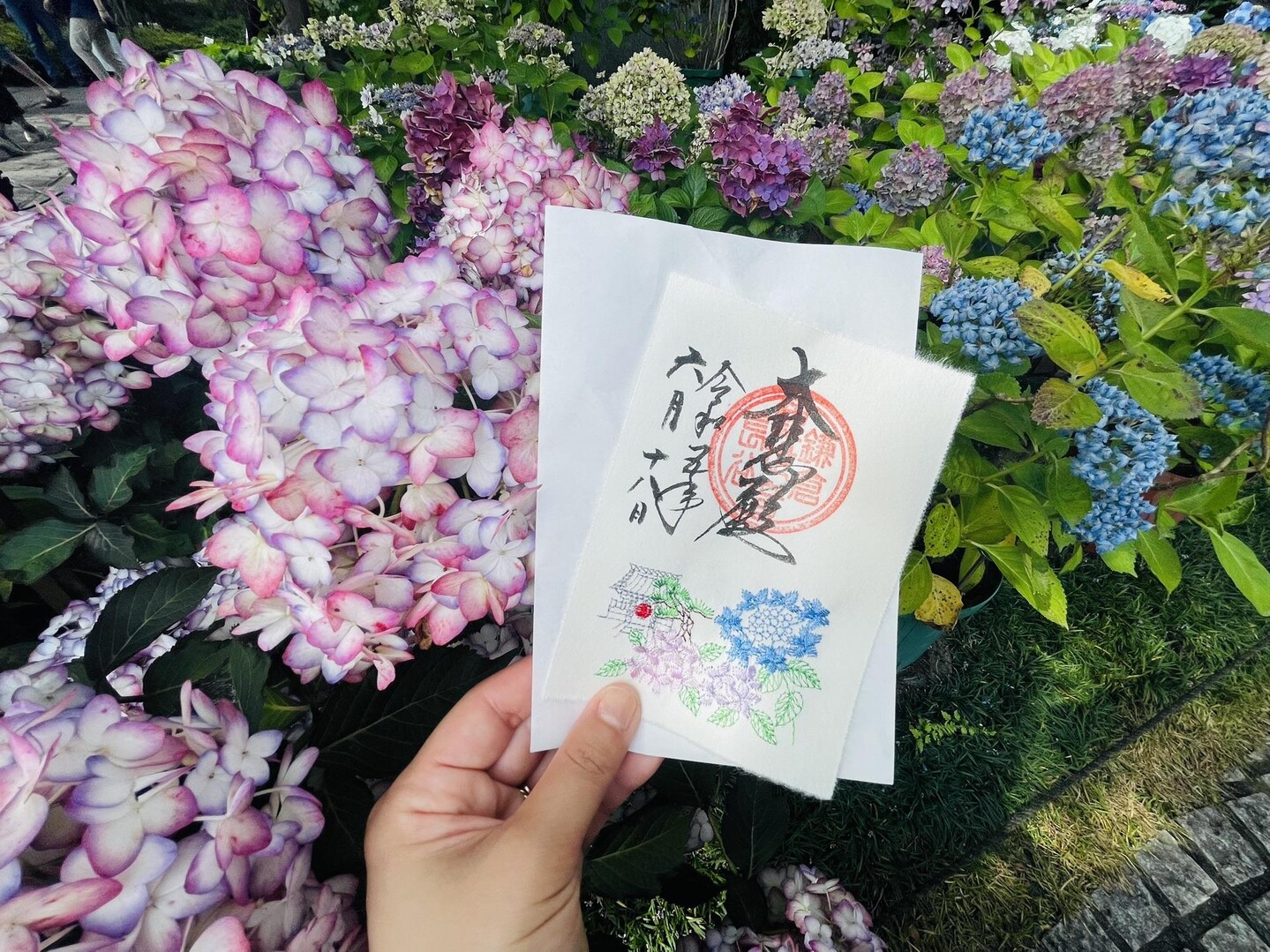 2023.6.18 友人と鎌倉へ紫陽花巡... / ayakaさんのモーメント | YAMAP / ヤマップ