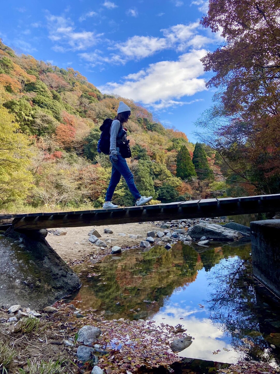 六甲山・長峰山・摩耶山-2023-11-30 / na_miさんの六甲山・長峰山・摩耶山の活動データ | YAMAP / ヤマップ