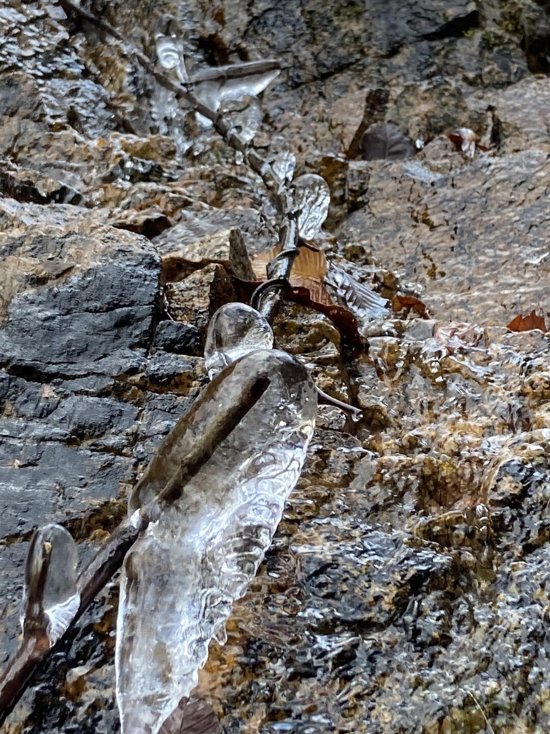 六甲 有馬から沢沿いのルートNo3 / H i H oさんの六甲山・長峰山・摩耶山の活動データ | YAMAP / ヤマップ