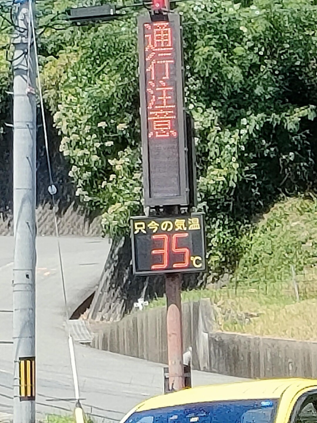 三好山 / terryさんさんの竜王山・阿武山の活動データ | YAMAP / ヤマップ