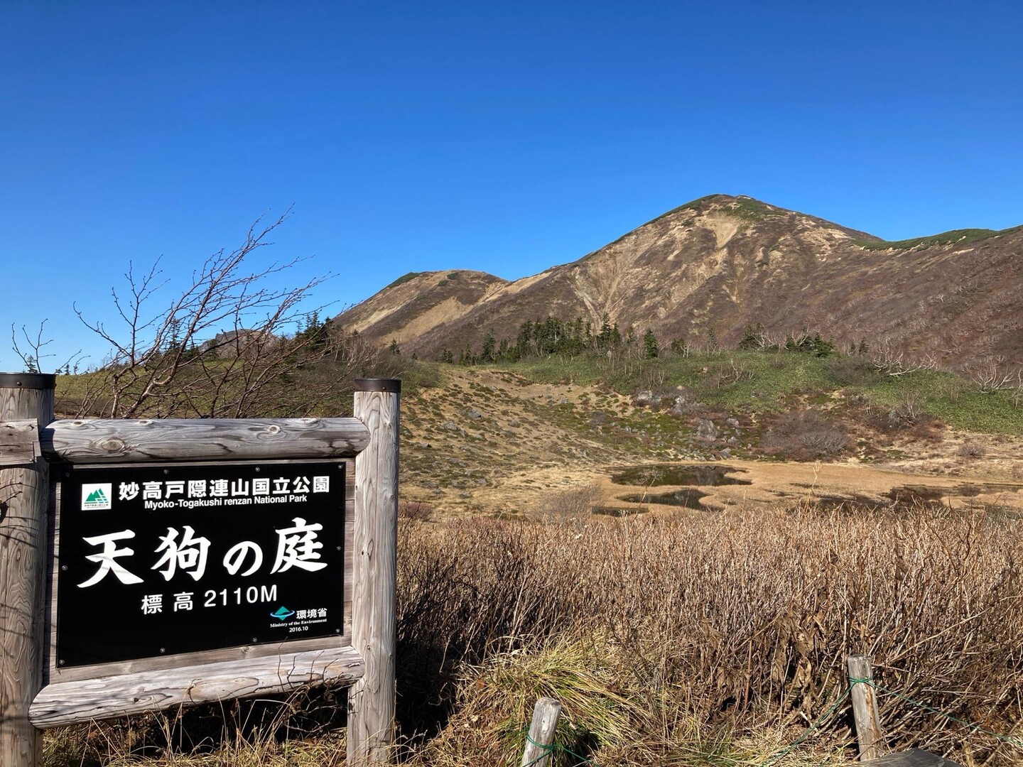 火打山 / higeさんの妙高山・火打山の活動データ | YAMAP / ヤマップ