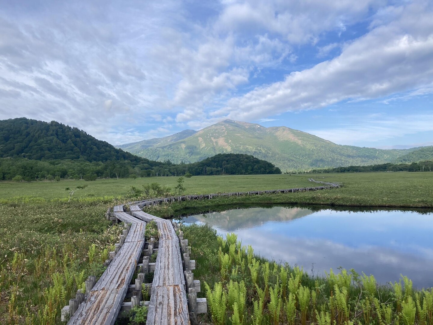 尾瀬・燧ヶ岳-2024-06-15 / tjさんの尾瀬・燧ヶ岳の活動データ | YAMAP / ヤマップ