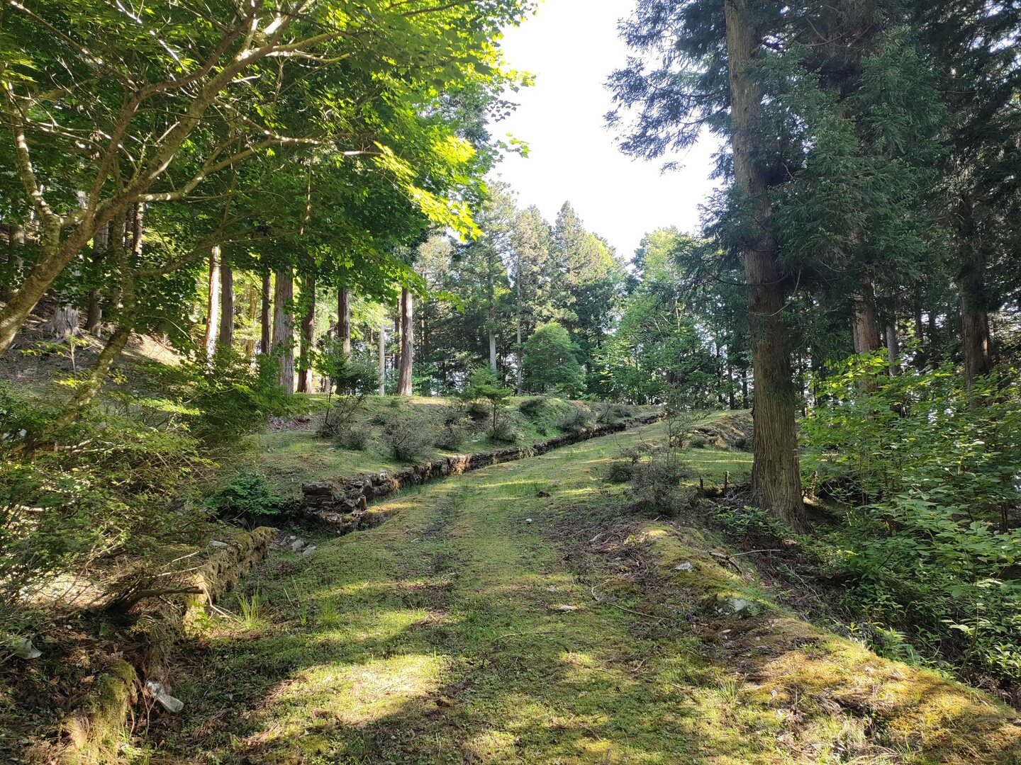 新緑の風呂塔・火打山 / YK1989さんの矢筈山・黒笠山の活動データ | YAMAP / ヤマップ