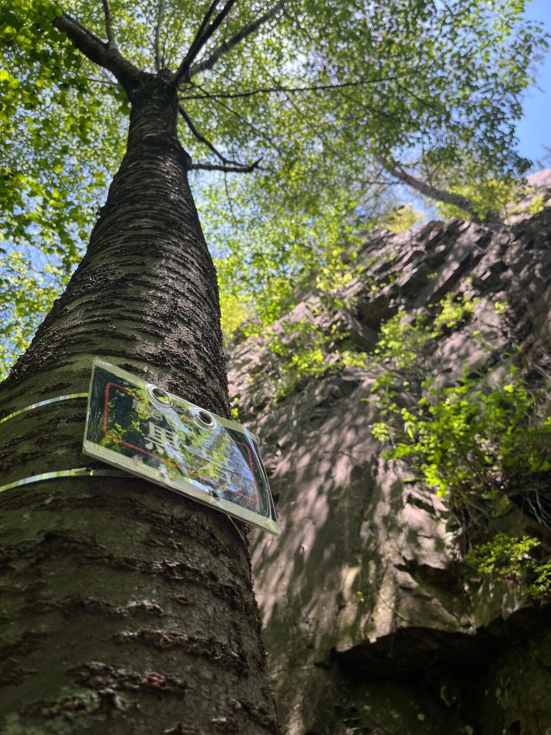 shigさんジョビジョバさんと行くᨒ𖡼.𖤣𖥧初めての芦屋地獄谷＆黒岩谷 / まったんたんさんの六甲山・長峰山・摩耶山の活動データ | YAMAP / ヤマップ