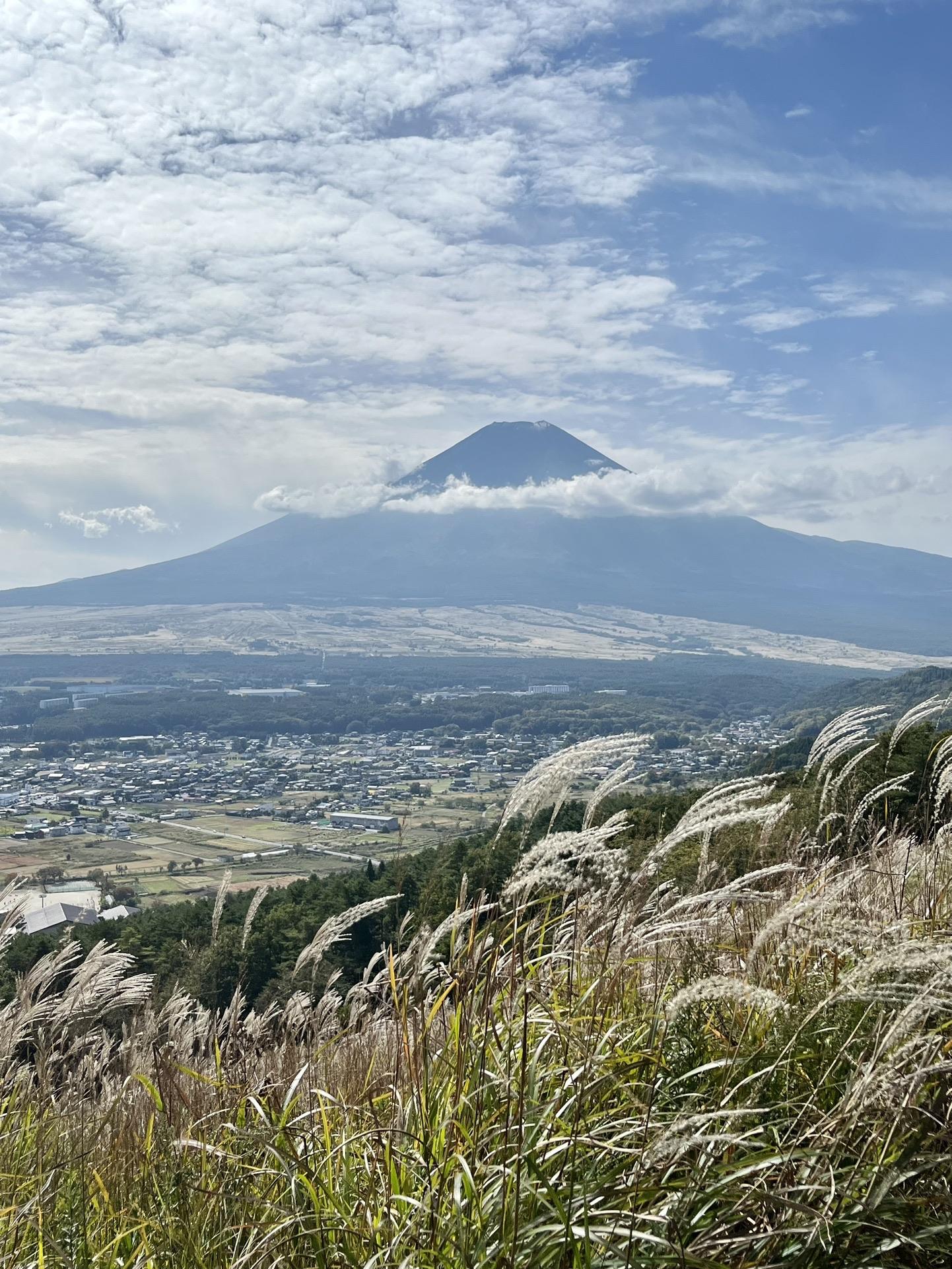 花の高座山 / skipさんのFUJISAN LONG TRAIL（忍野・山中湖エリア EAST）の活動日記 | YAMAP / ヤマップ
