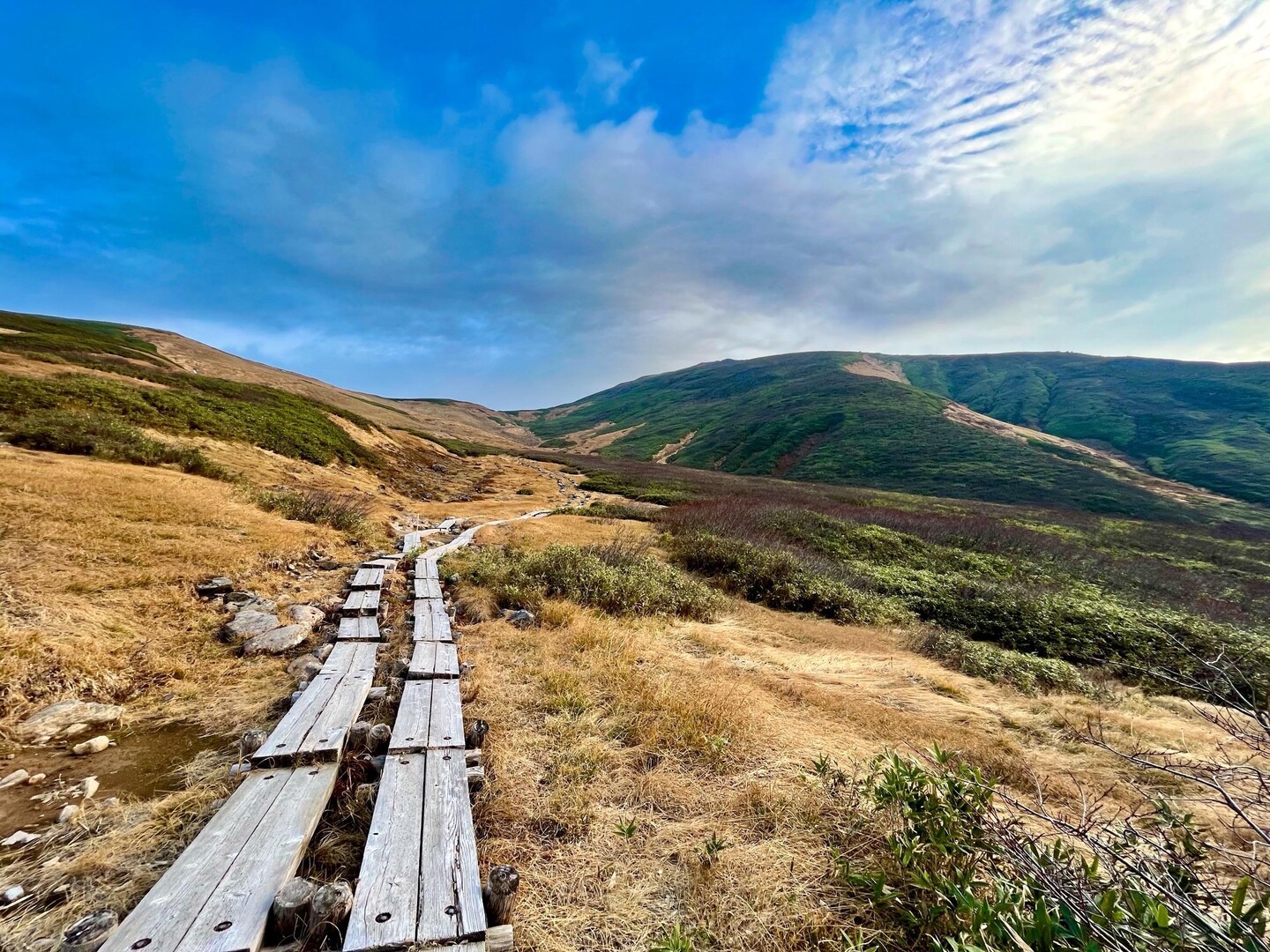 月山 / mitsu32さんの月山の活動データ | YAMAP / ヤマップ