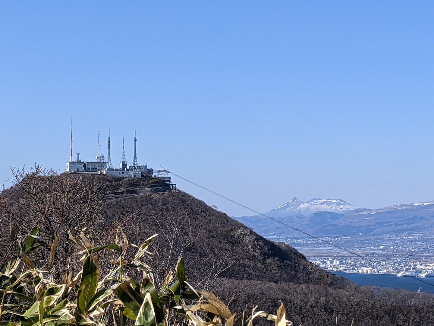 函館山 千畳敷コース / Mommaさんの函館山の活動データ | YAMAP / ヤマップ