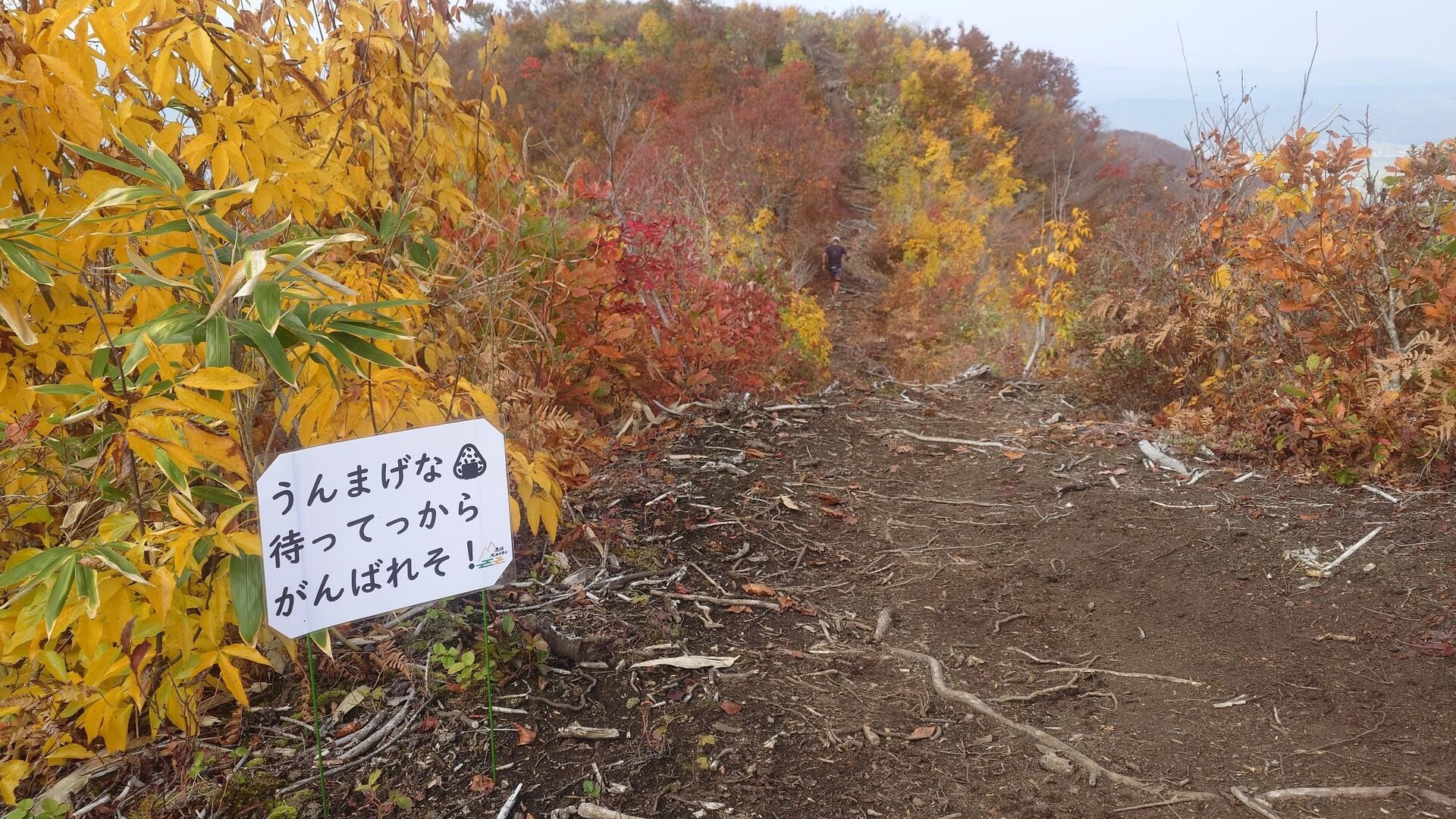 UONUMA SKY RUN 2023-11-5 / 智。さんの大力山・黒禿の頭・笠倉山の活動データ | YAMAP / ヤマップ