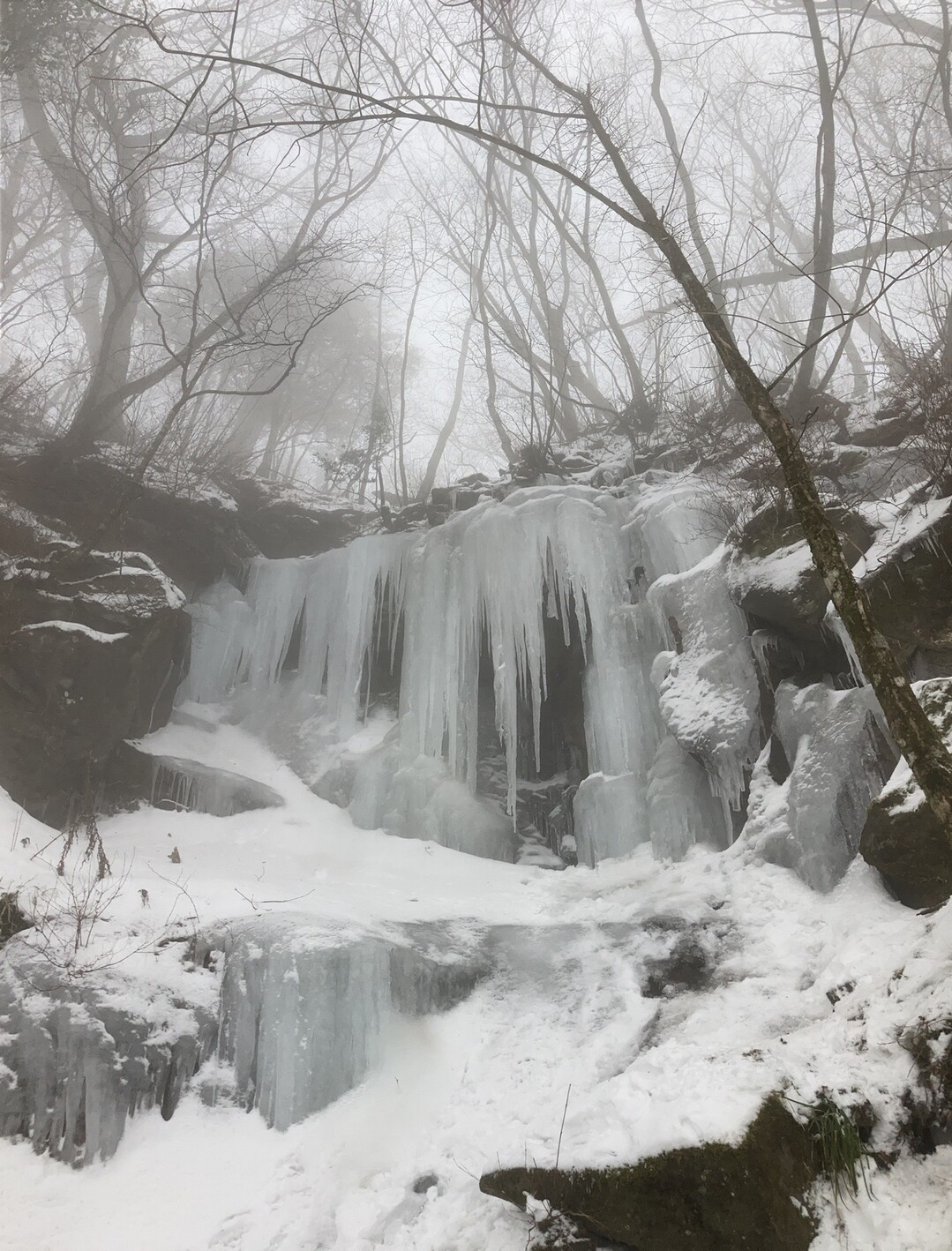 英彦山 ️初の氷瀑へ‼︎🏃‍♂️💨 / ryu_ich1さんの英彦山の活動データ | YAMAP / ヤマップ