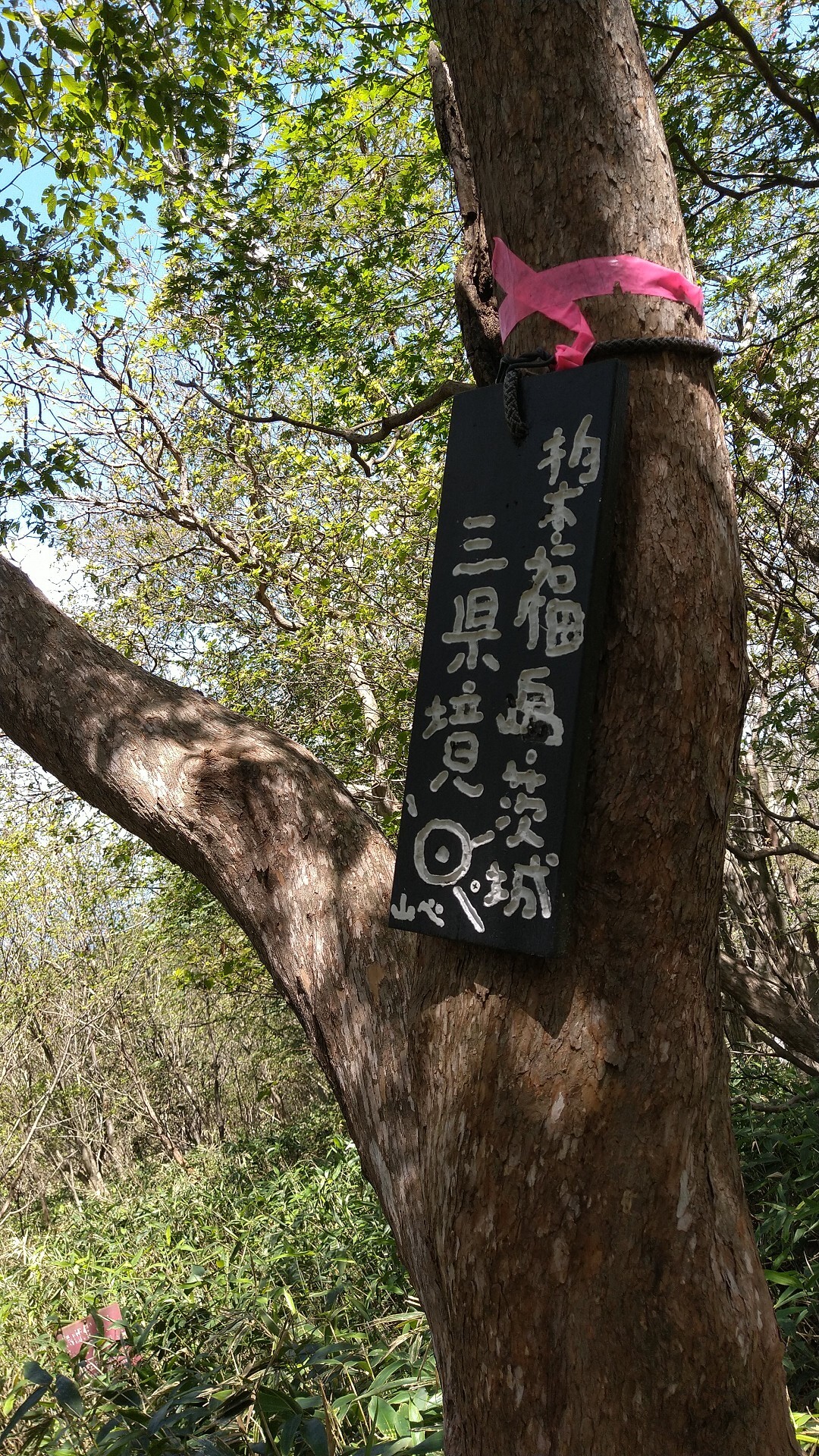 3104のページ | YAMAP / ヤマップ