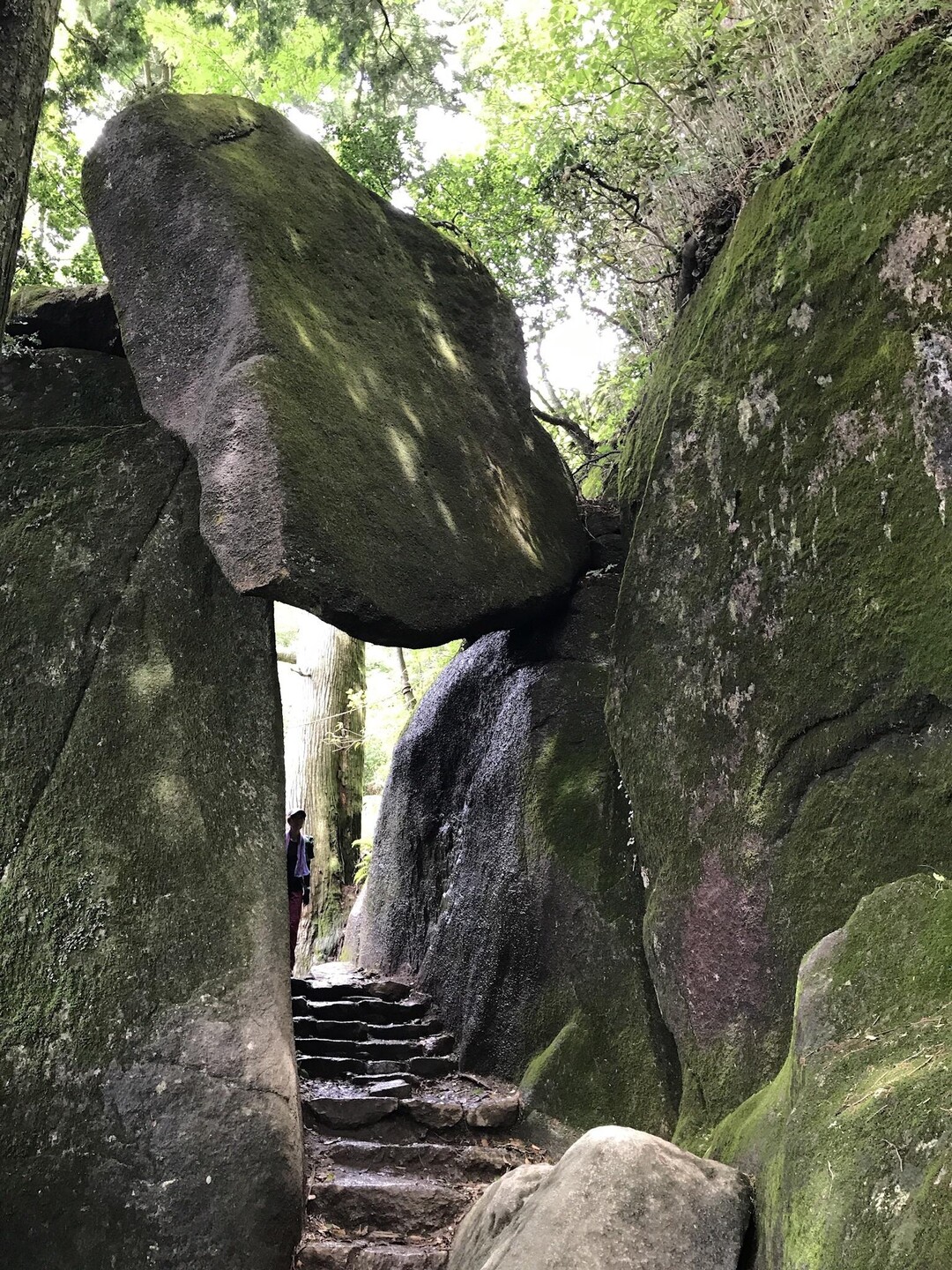 いつかの登山4 / chi-tanさんのモーメント | YAMAP / ヤマップ