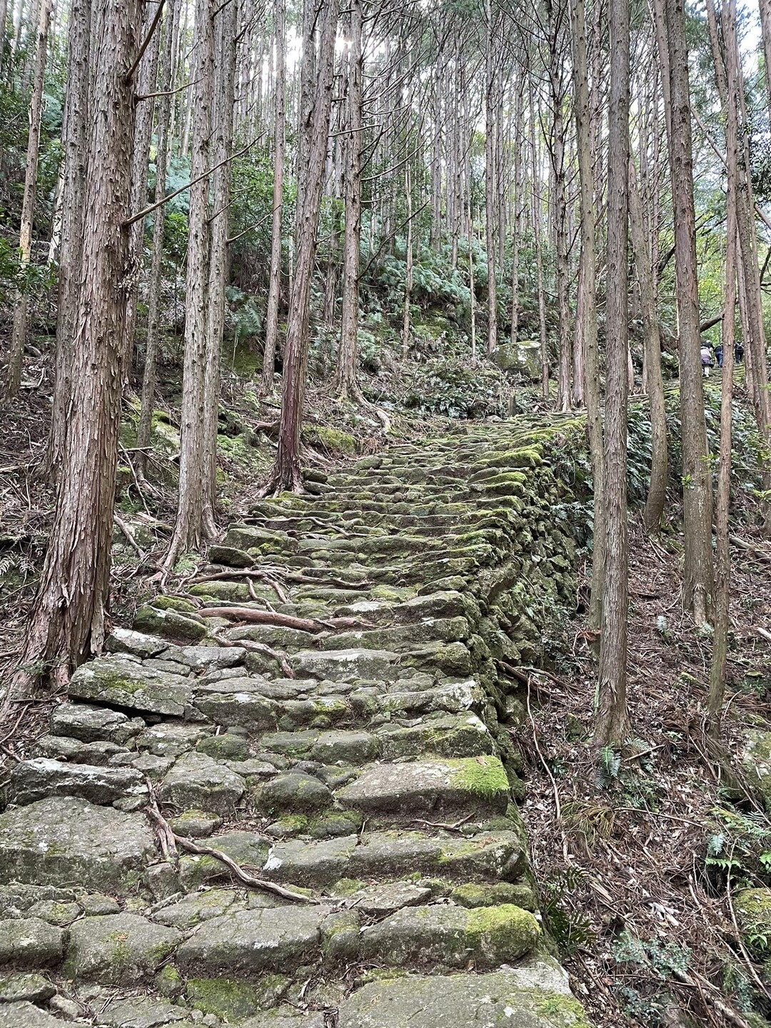 熊野古道 伊勢路①-2023-10-21 / noriさんの熊野古道 伊勢路①の活動データ | YAMAP / ヤマップ