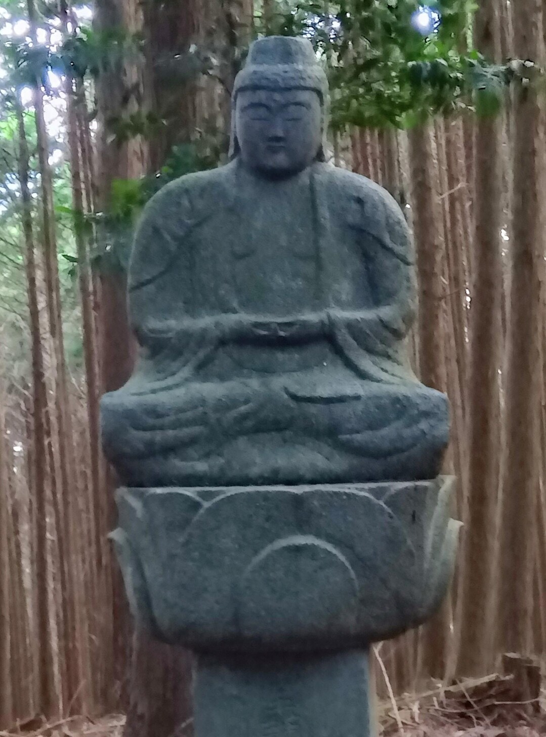 OKのページ | YAMAP / ヤマップ