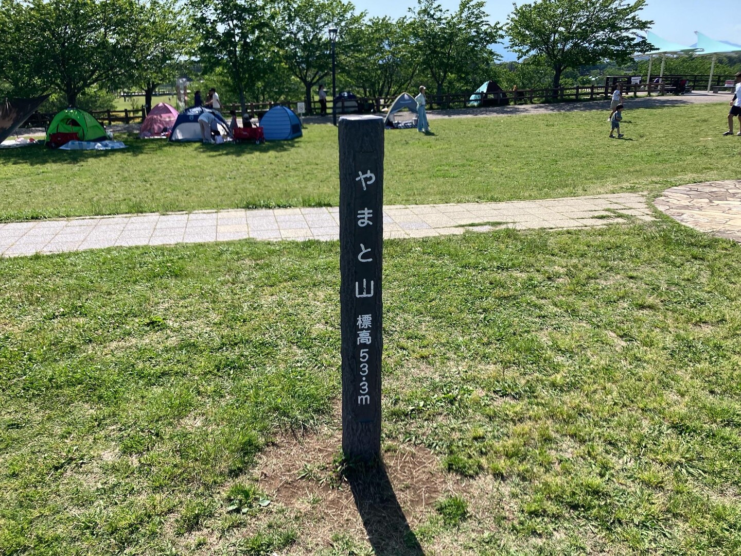 【大和市】やまと山 有楽蝶 ˆoˆ さんの藤沢市の活動データ Yamap ヤマップ