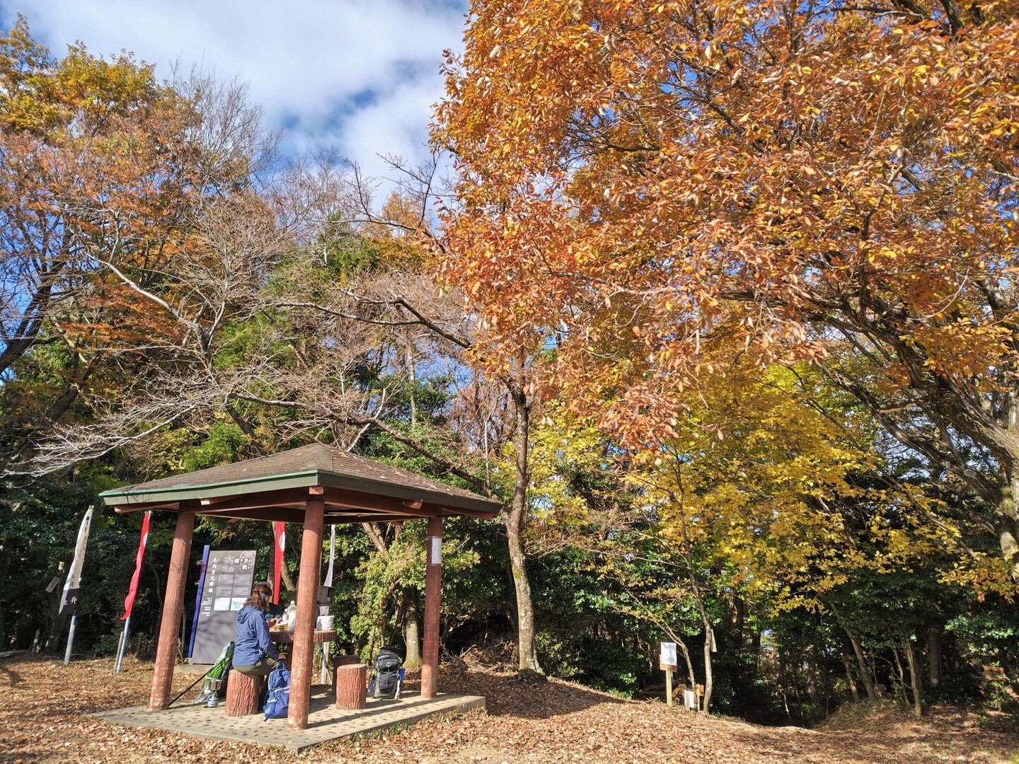 久々の南宮山⛰️🪵珍しく三角点まで🕺🍁 / ypkun.さんの南宮山・象鼻山の活動データ | YAMAP / ヤマップ