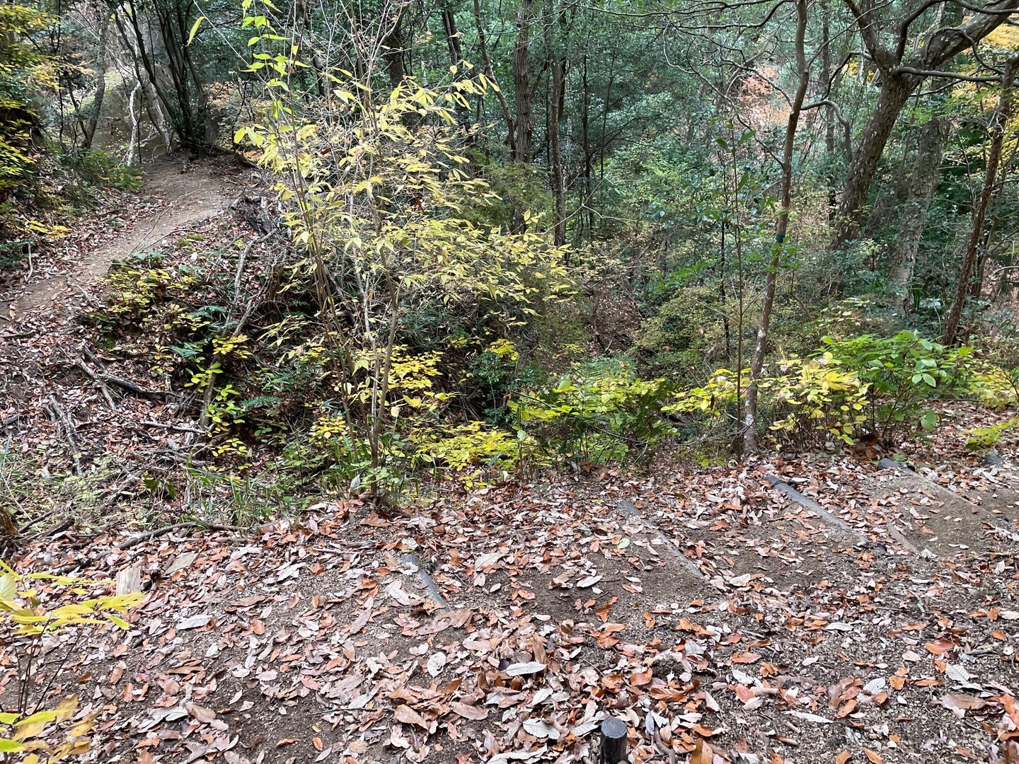 E.Jさんの投稿したフィールドメモ | YAMAP / ヤマップ