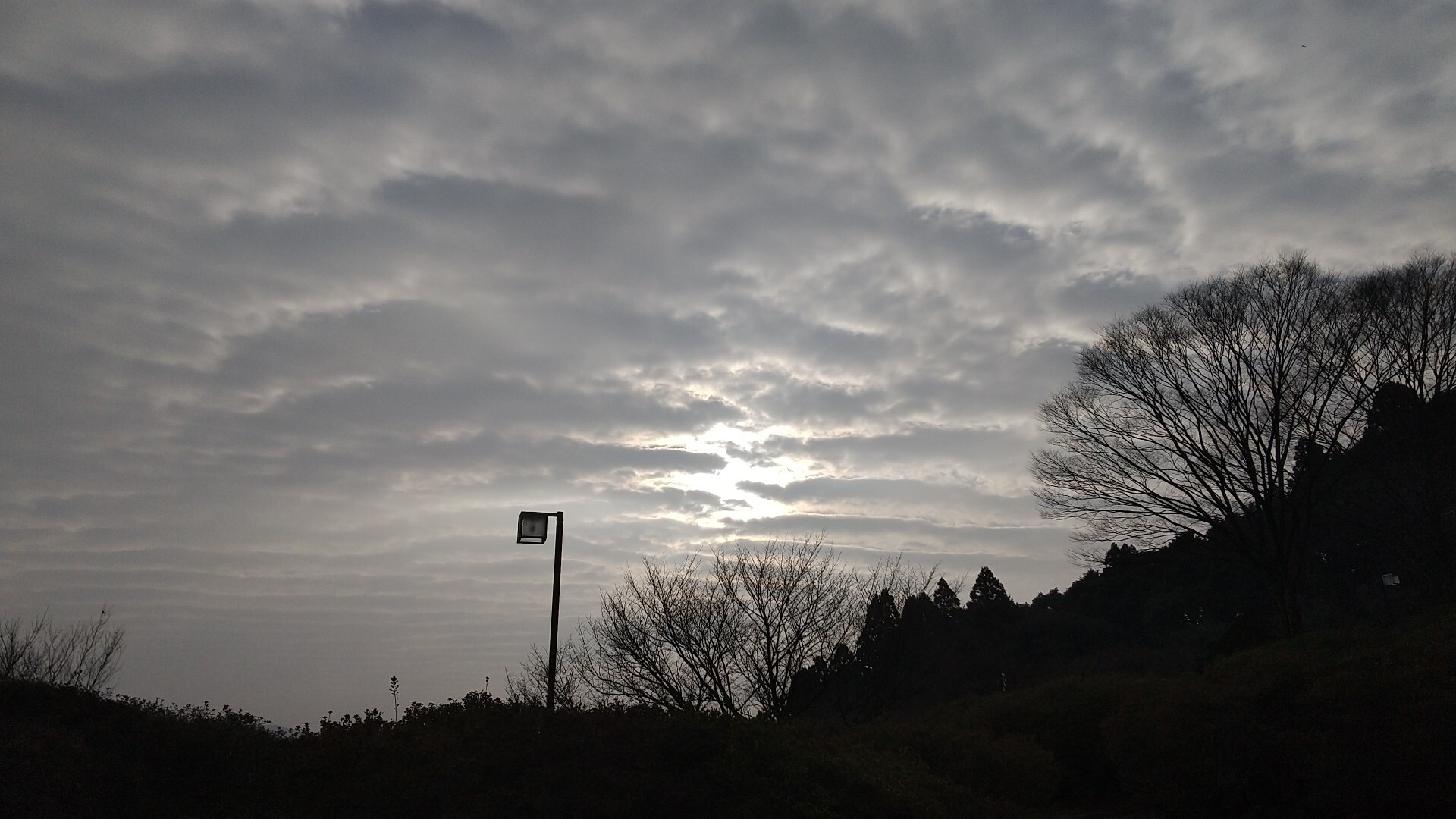 Fri. 28th Jan 2022 お... / Emily (咲梨) 𖤣𖥧𖥣｡𓂃𓈒さんのモーメント | YAMAP / ヤマップ