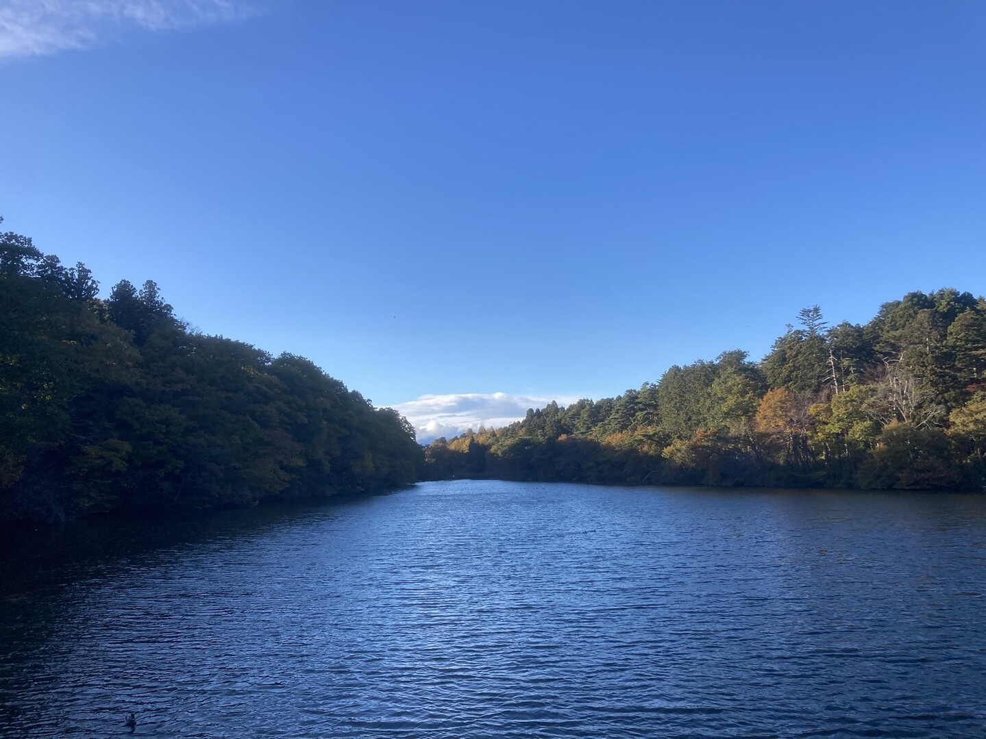 こんにちは^ ^ 今日は一日中青空です... / OBsunさんのモーメント | YAMAP / ヤマップ