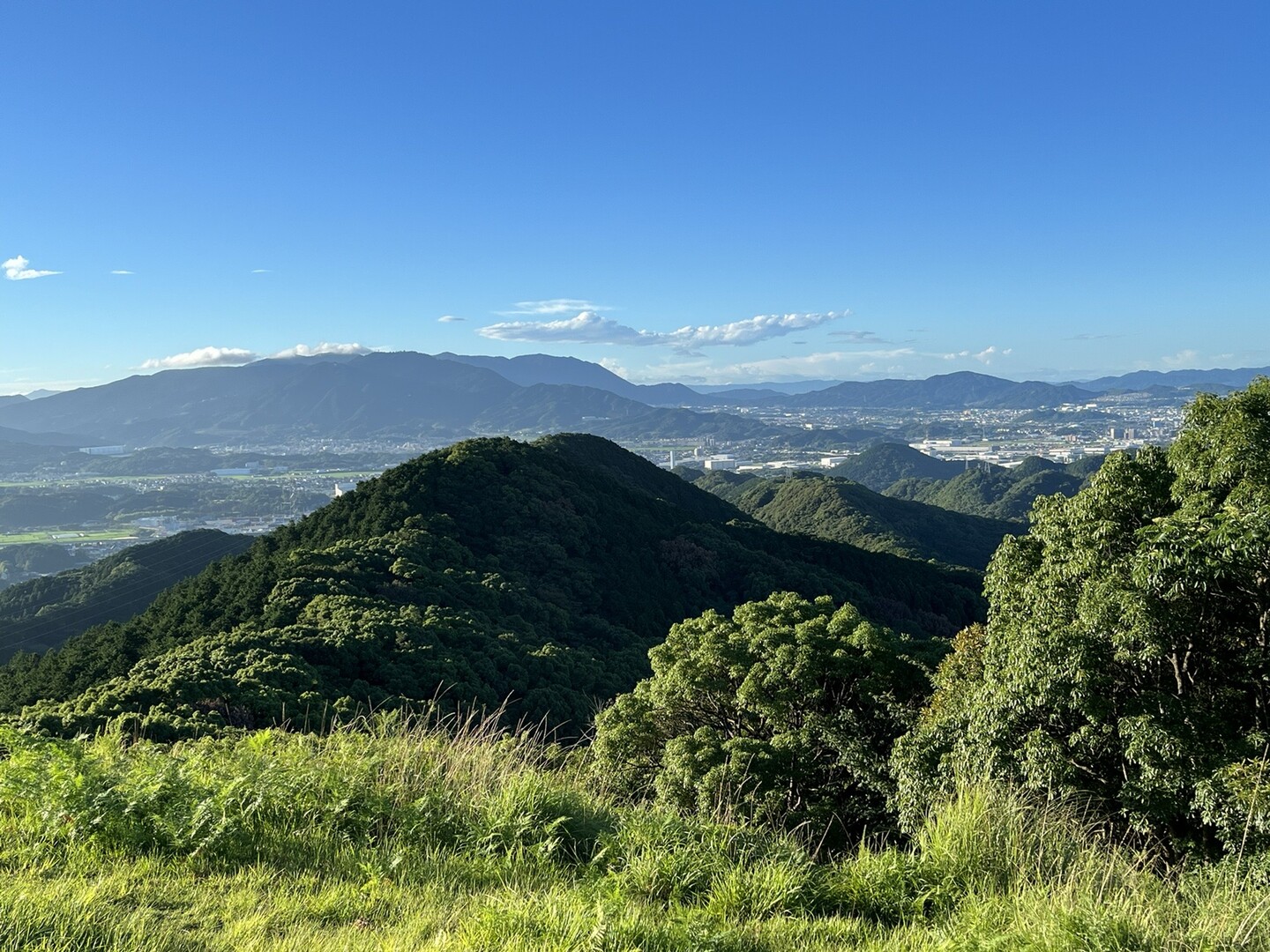 三日月山-2022-7-29(56) / kaz@Tak2さんの立花山・三日月山・城ノ越山の活動データ | YAMAP / ヤマップ