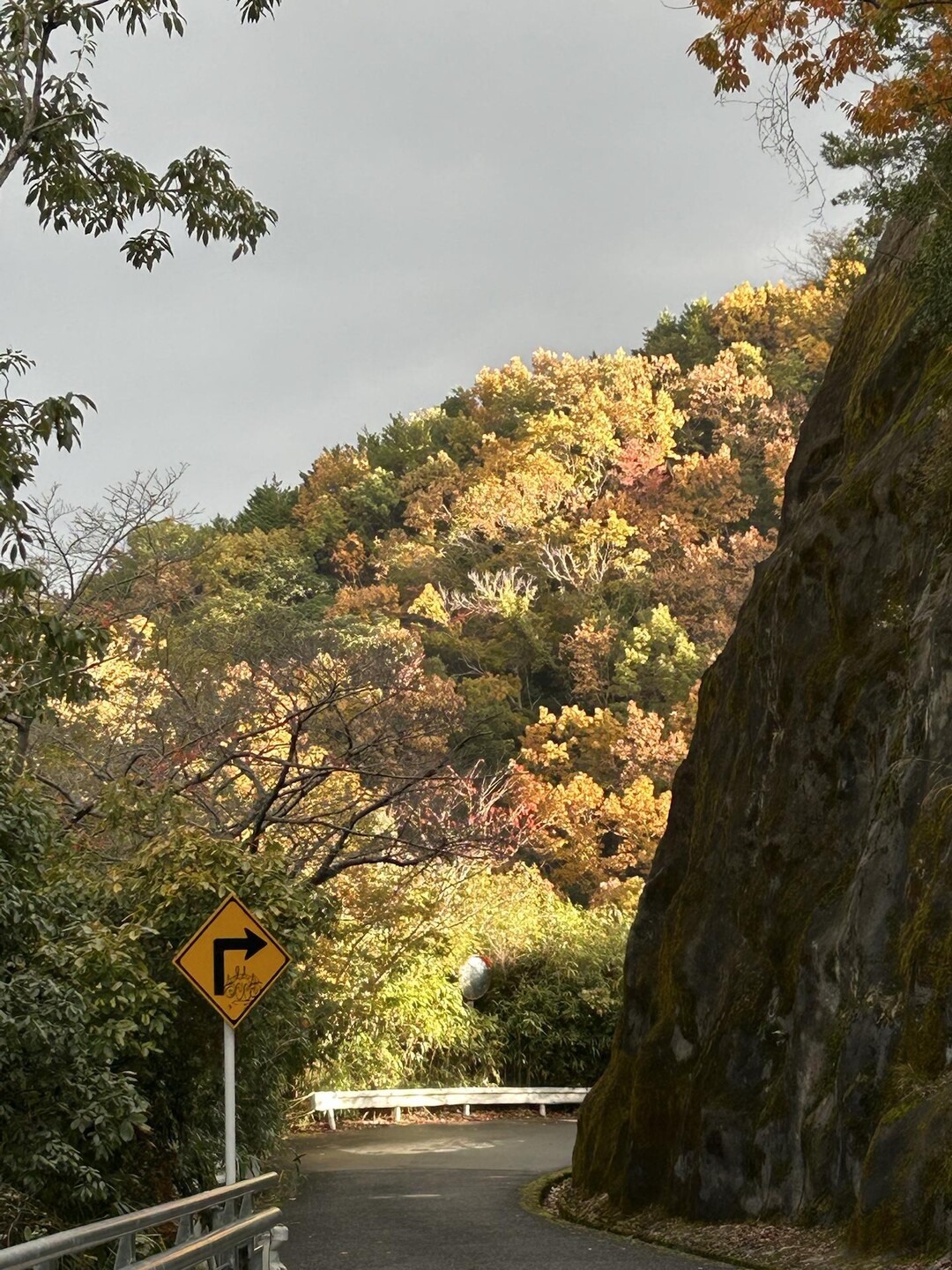 賑やかに雨山歩き / Yukakoさんの雨山の活動データ | YAMAP / ヤマップ