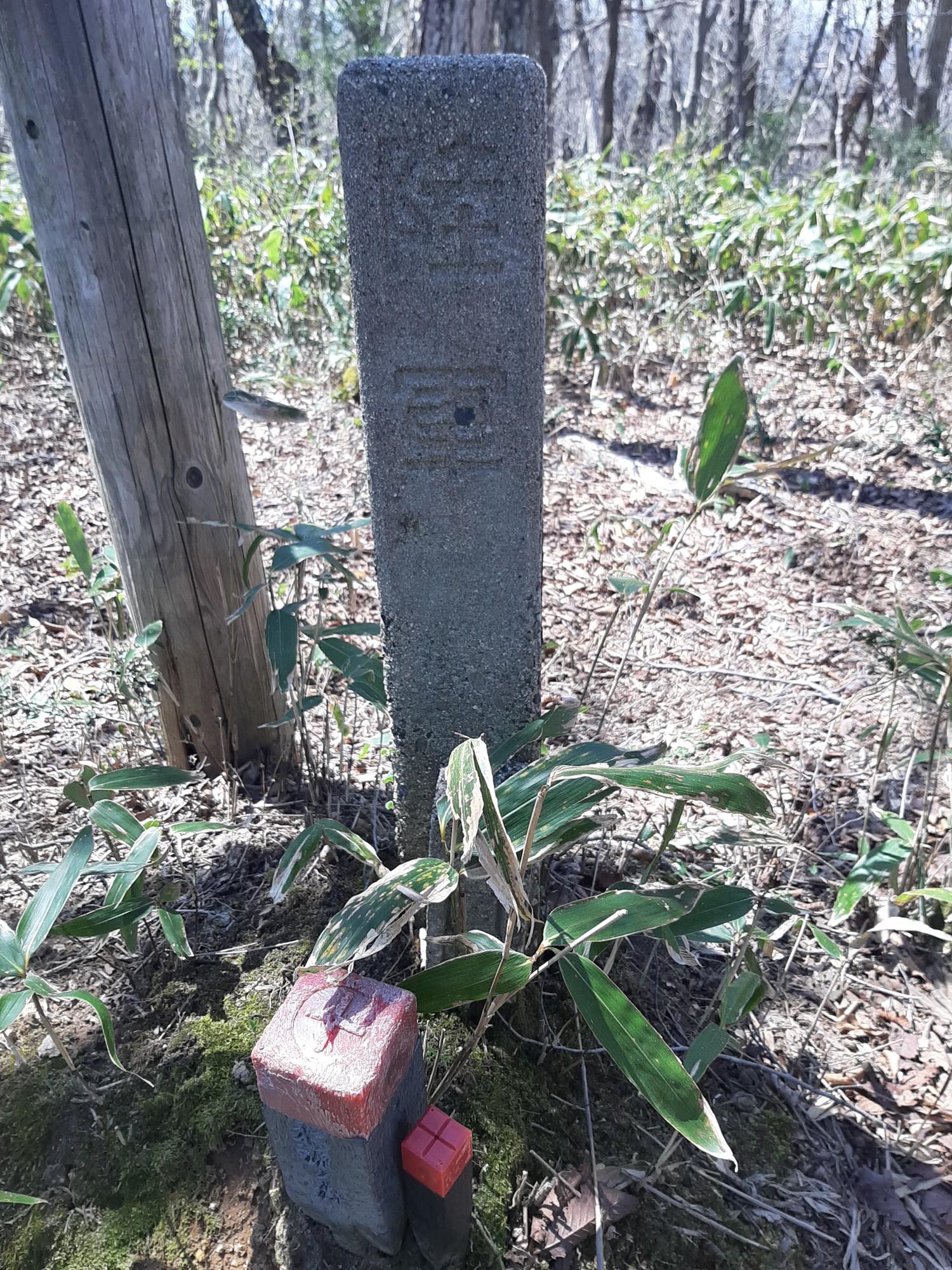 クンクン007さんの投稿したフィールドメモ | YAMAP / ヤマップ