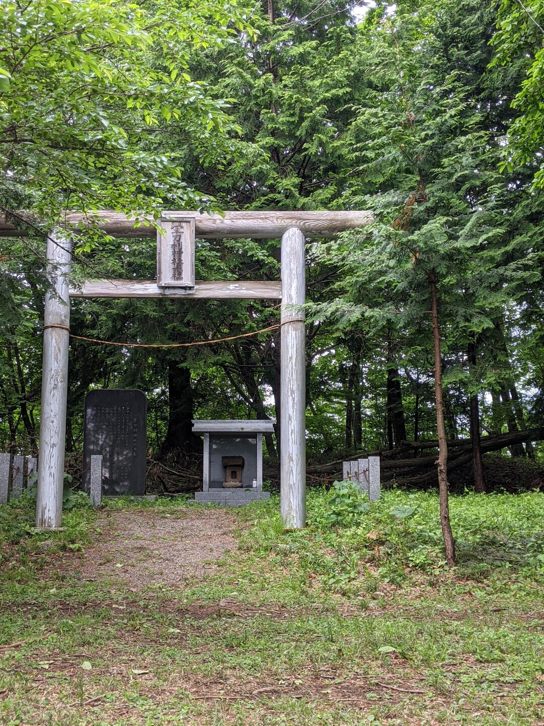 saiさんの投稿したフィールドメモ | YAMAP / ヤマップ