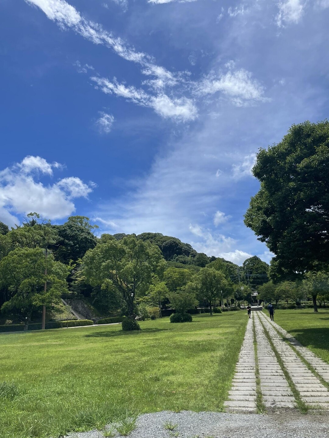 天拝山 / kmgeさんの天拝山・基山の活動データ | YAMAP / ヤマップ