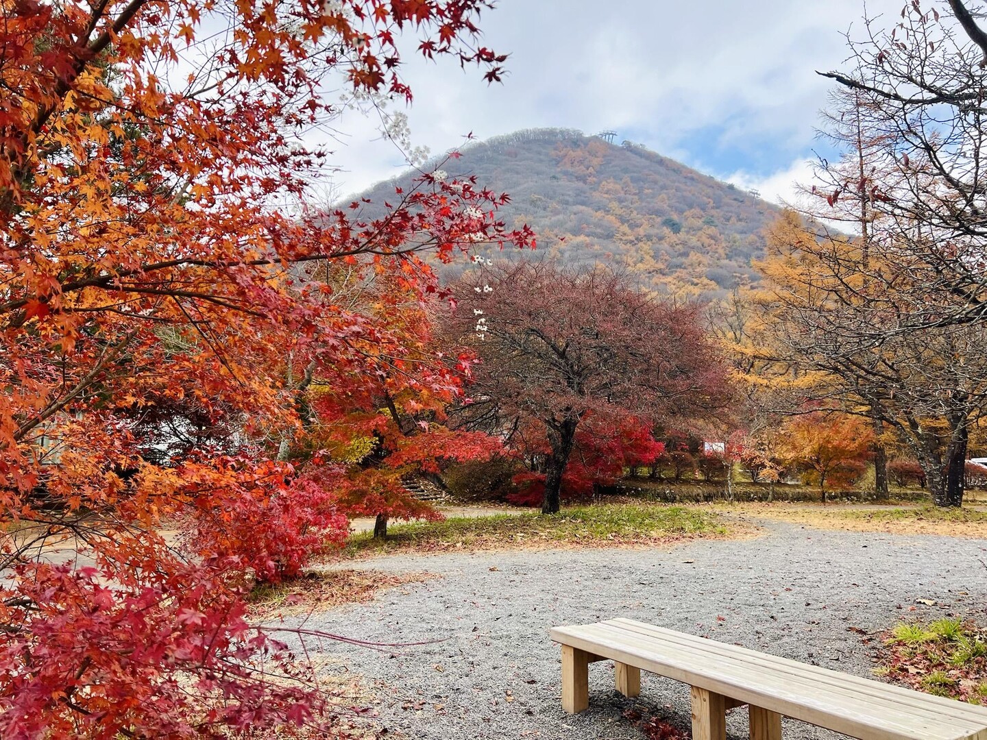 榛1 ️2🚲 / 🌺SAE🌺さんの榛名山・天狗山・天目山の活動データ | YAMAP / ヤマップ