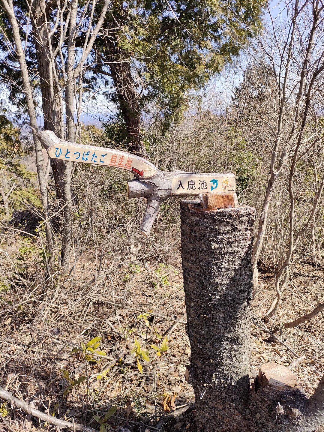 尾張本宮山・信貴山 / mocchiさんの尾張富士・尾張本宮山・尾張白山の活動データ | YAMAP / ヤマップ