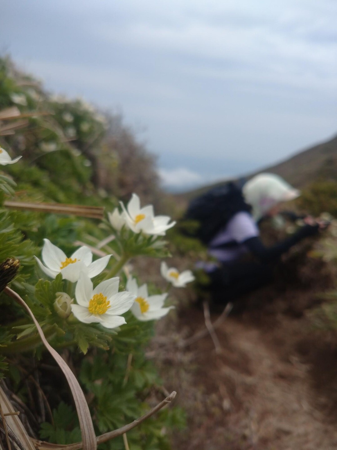 南蔵王縦走 / RIKUさんの蔵王山・雁戸山・不忘山の活動データ | YAMAP / ヤマップ