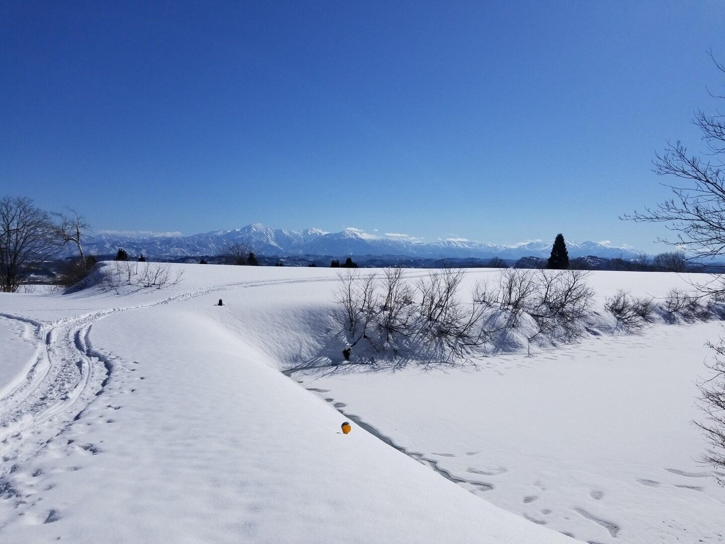 快晴の山本山 / ta-さんの時水城山・丸山の活動データ | YAMAP / ヤマップ