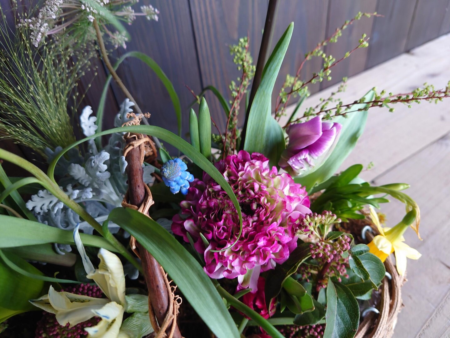 芽出し球根で小さな春の庭🌿 大好きな春... / Bobにゃんさんのモーメント | YAMAP / ヤマップ