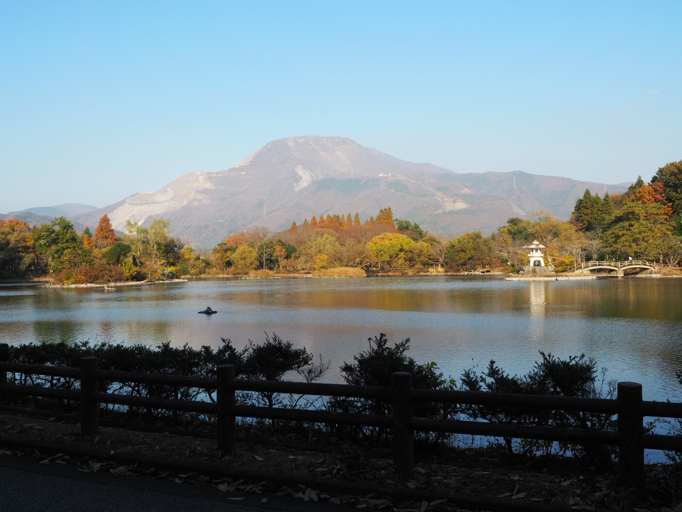 2020年11月中旬の、米原市山東グリ... / sensaさんのモーメント | YAMAP / ヤマップ