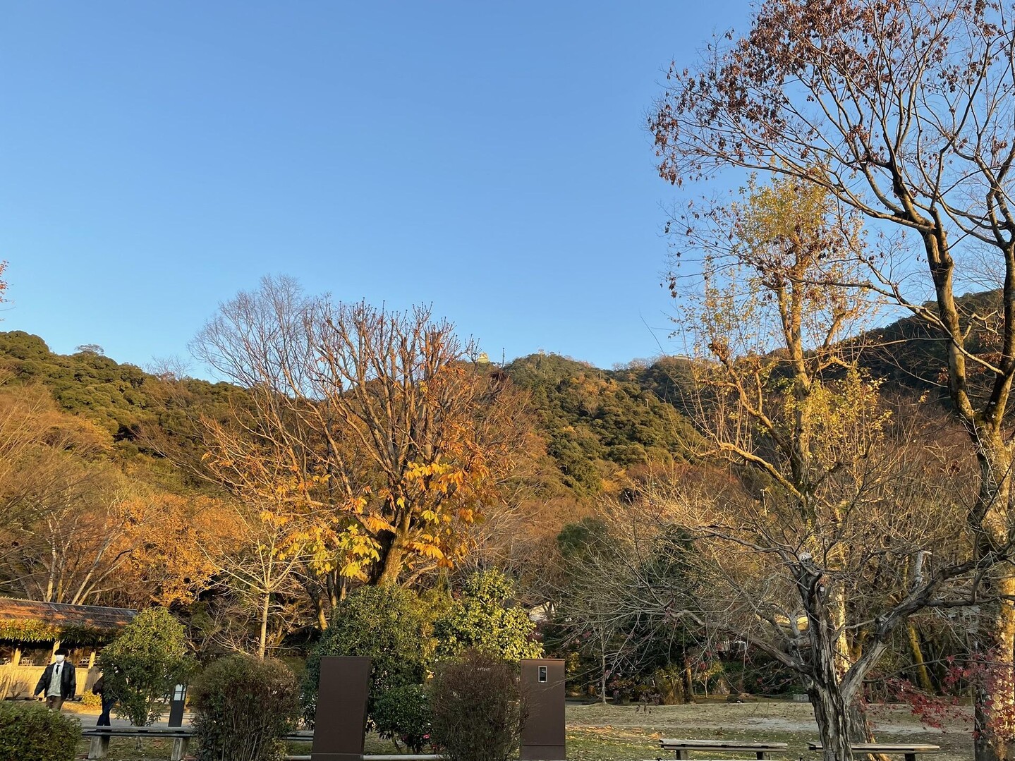 金華山 / Renaさんの金華山・洞山・舟伏山の活動データ | YAMAP / ヤマップ